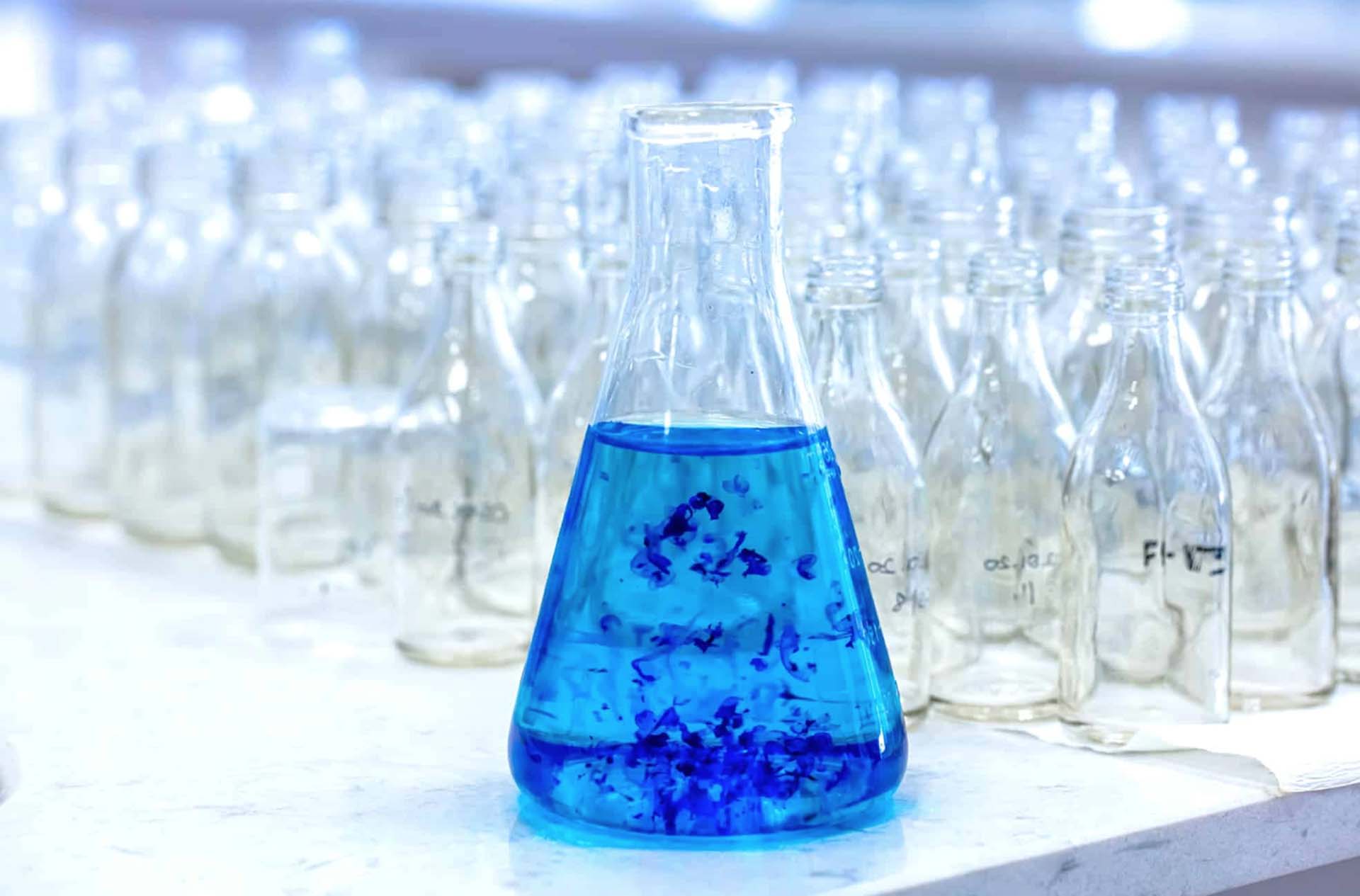 Metilen plavo – My Life